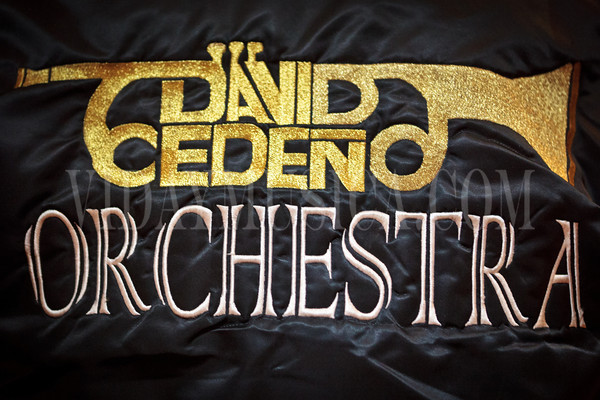 David Cedeño & His Orchestra at Taino Towers 2-13-2013 – Vida y Música ...